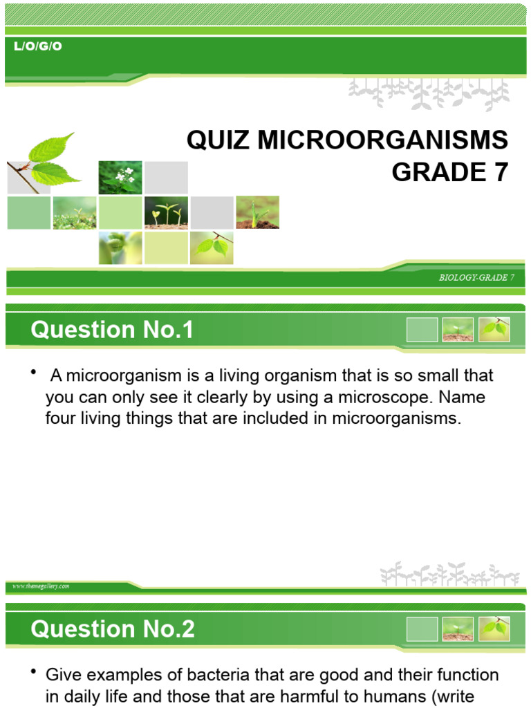 Quiz g7 Microorganisms | PDF | Microorganism | Bacteria