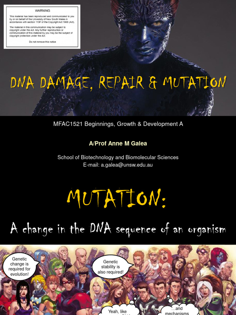 DNA damage notes | PDF | Mutation | Dna Repair