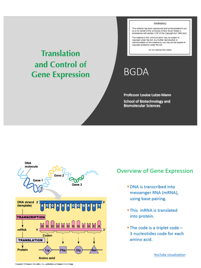 Translation Notes | Download Free PDF | Translation (Biology ...