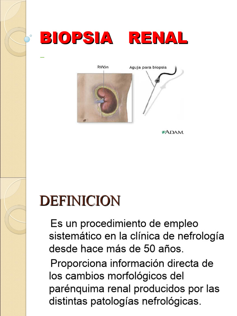 7 Biopsia Renal | PDF | Biopsia | Especialidades Medicas