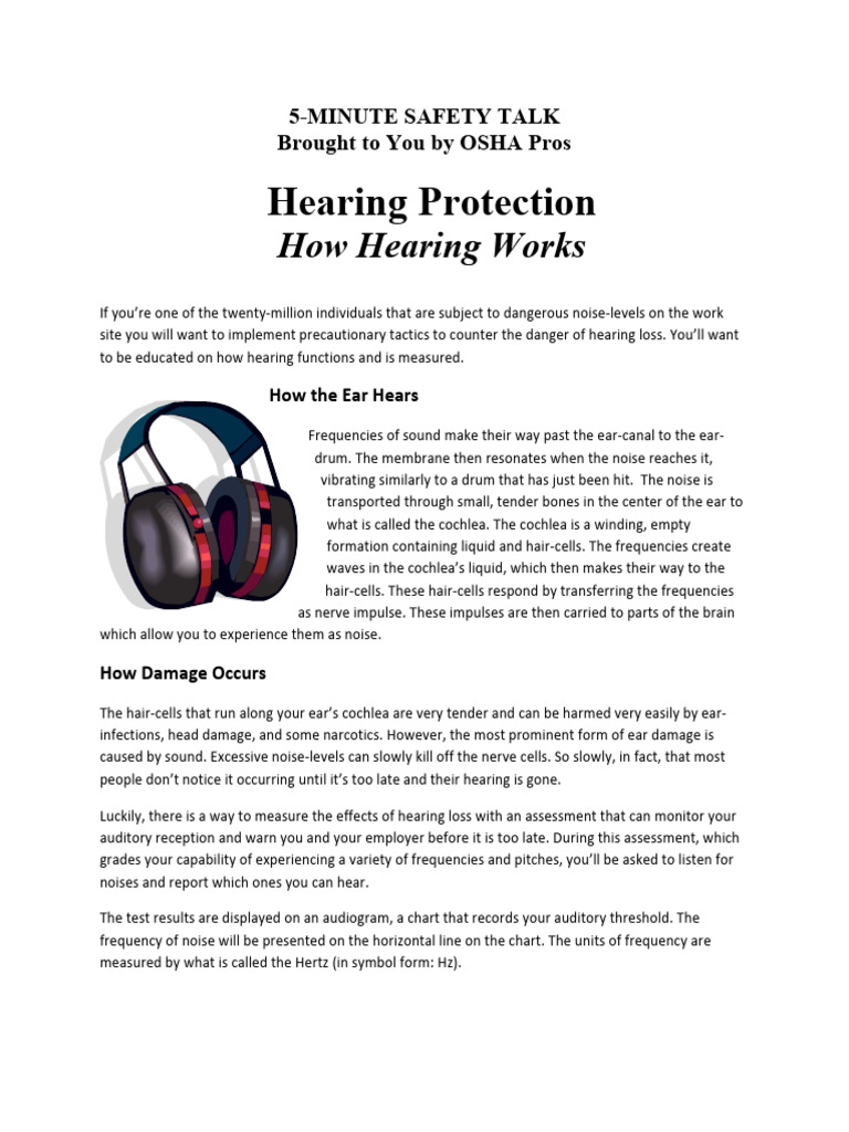 Hearing Protection Rewrite | PDF | Hearing | Noise