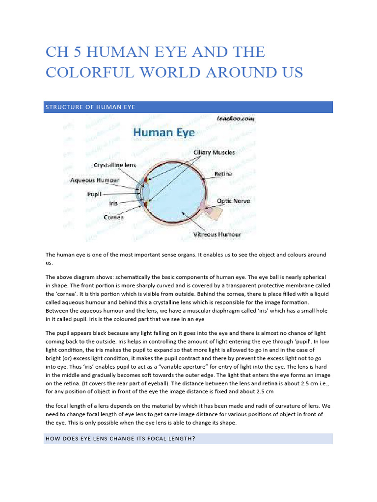 CH 5 Human Eye and The Colorful World Around Us | PDF | Eye | Human Eye