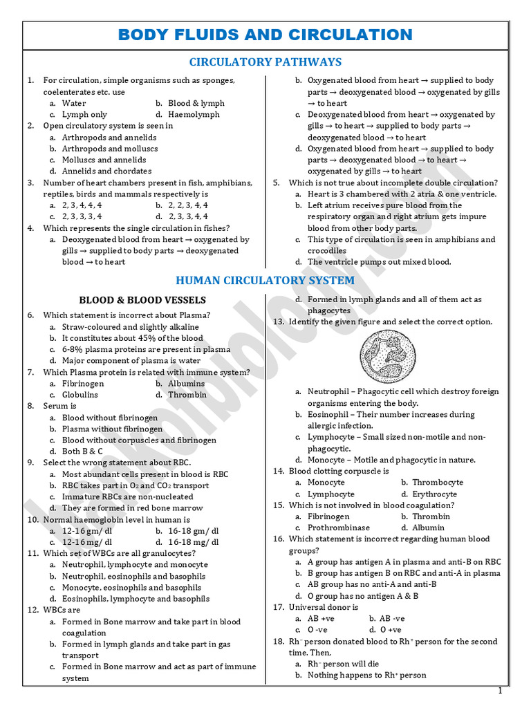 Body Fluids and Circulation Overview | PDF | Heart | Atrium (Heart)