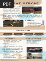 Normal Rectal Temperature Ranges | PDF