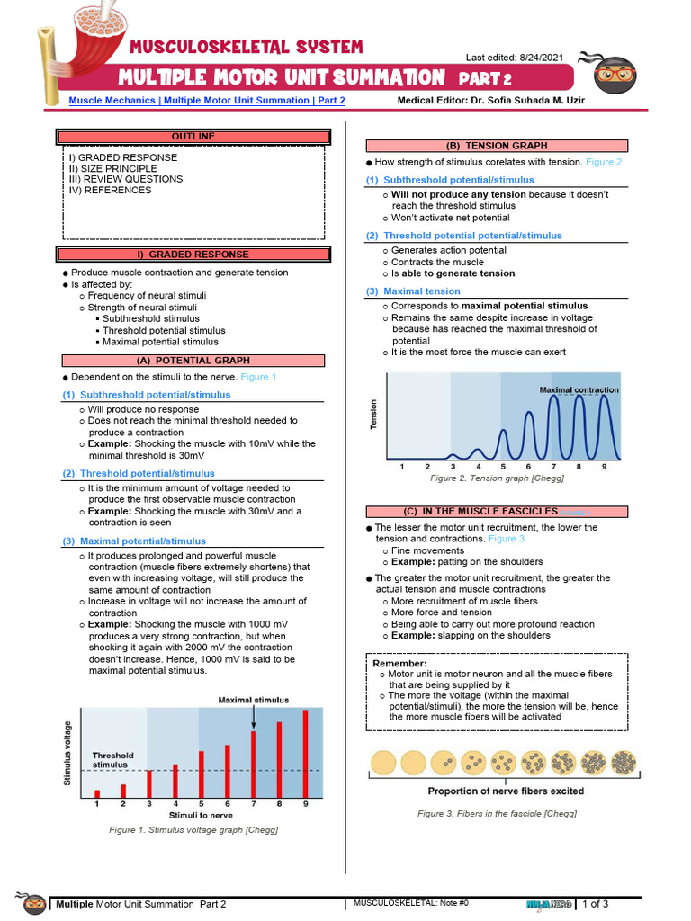 Understanding Motor Unit Summation | PDF | Muscle Contraction ...