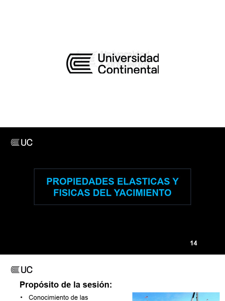 10 MINSUB Propiedades Elásticas y Físicas Del Yacimiento | PDF | Elasticidad (Física)