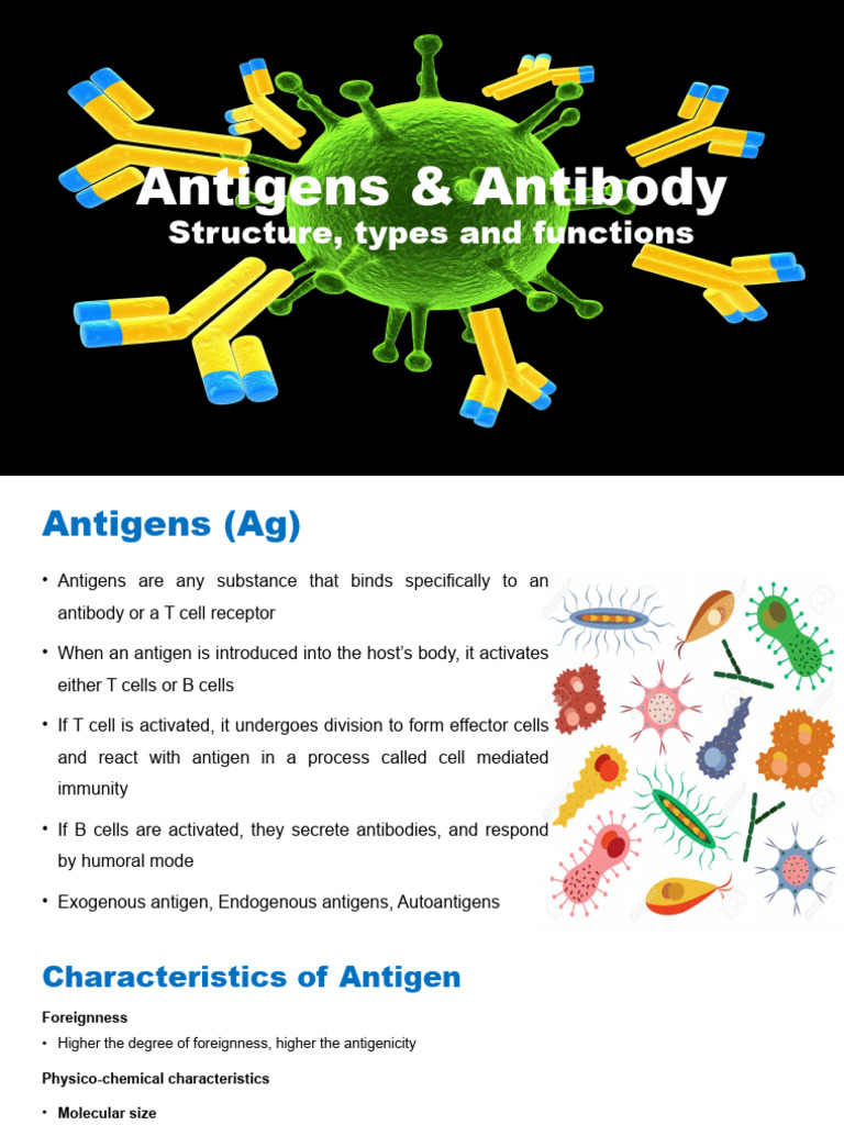 Antibody | PDF | Antibody | Antigen