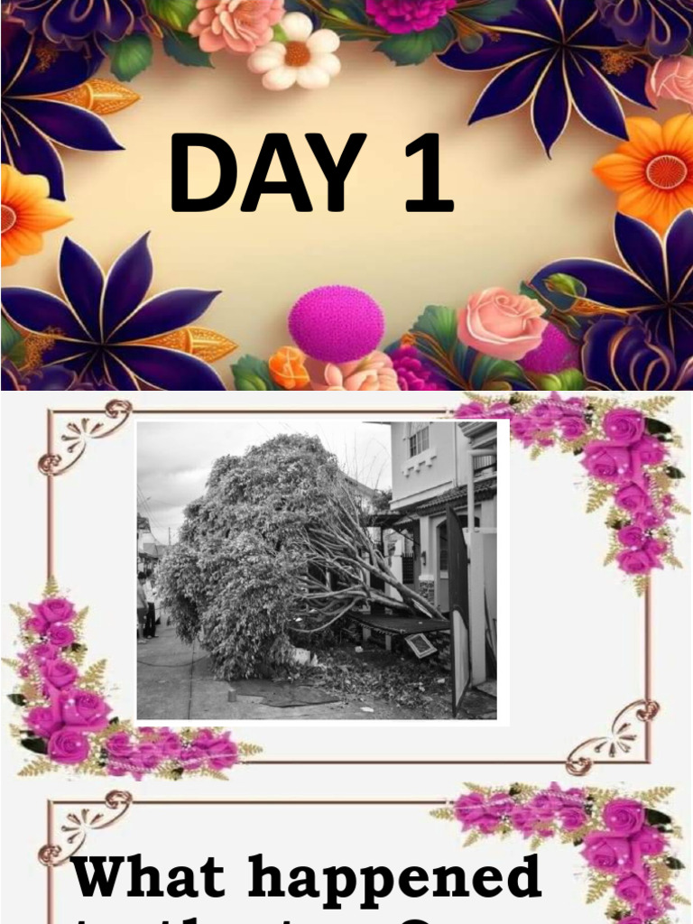 NLC English Intervention Lesson 1 | PDF