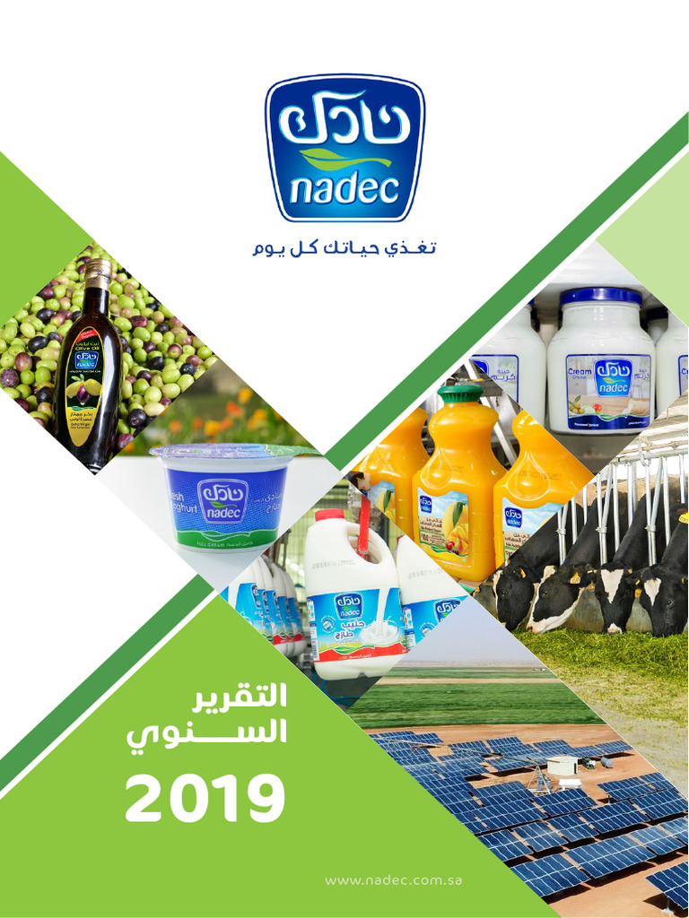 Nadec Annual Report 2019 | PDF