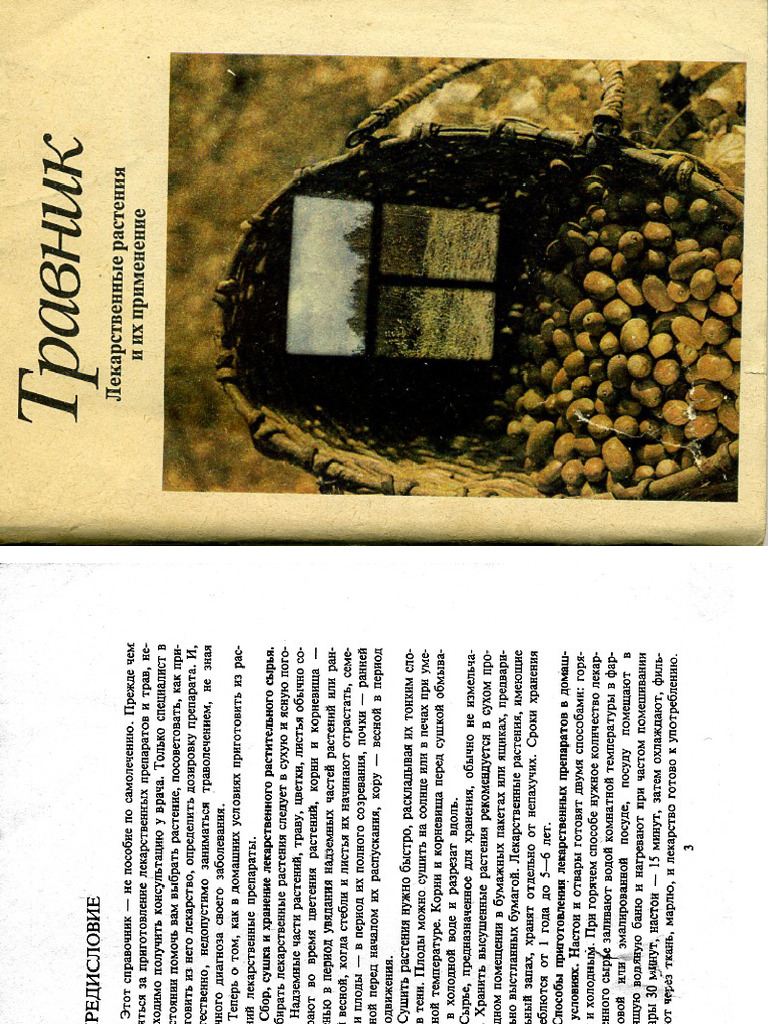 Travnik Timoreva | PDF