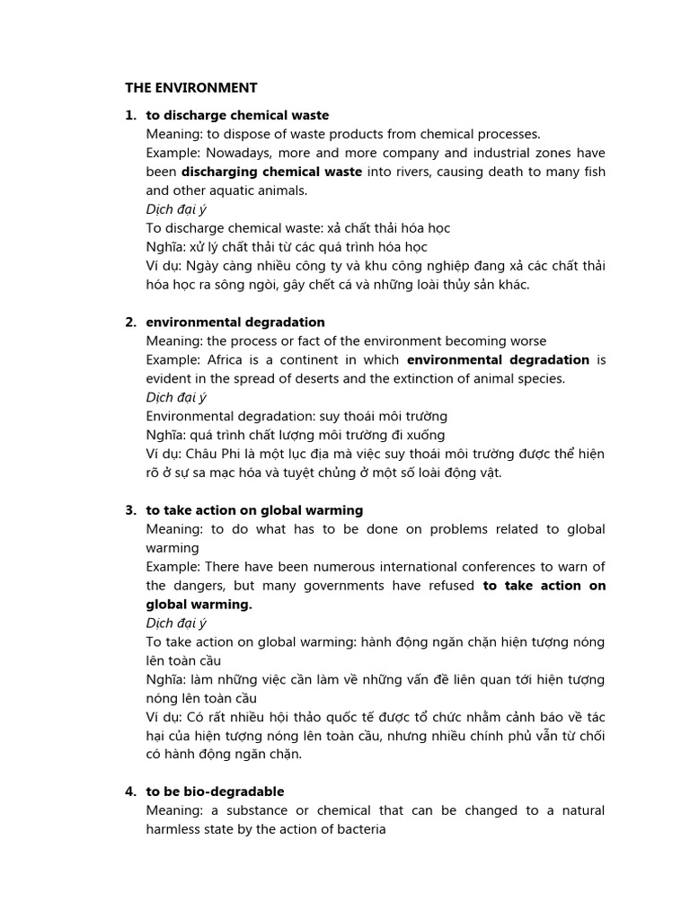 The Environment | PDF