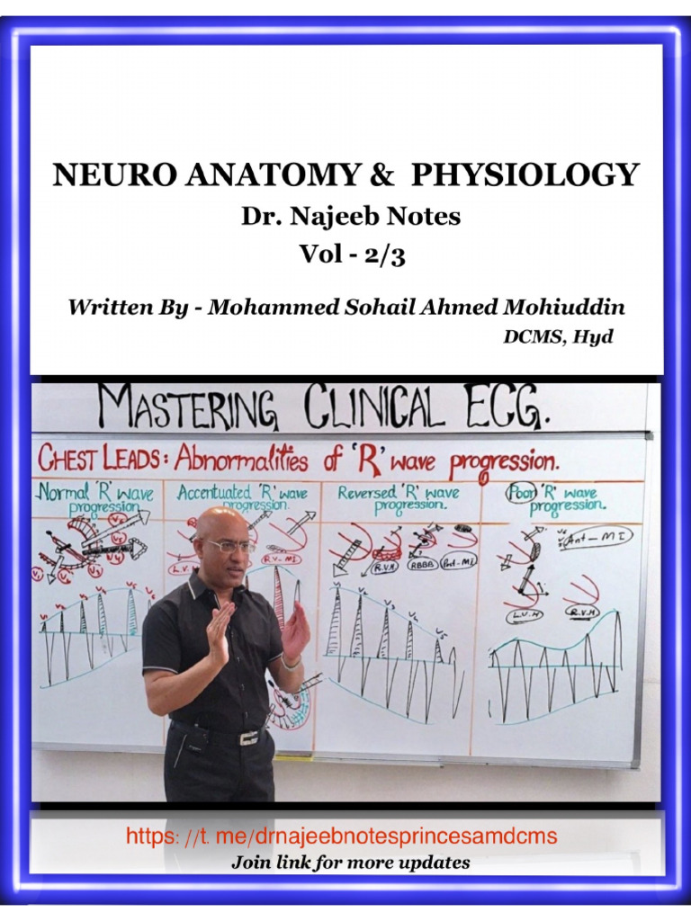 Neuro Anat & Physio Vol-2 | PDF