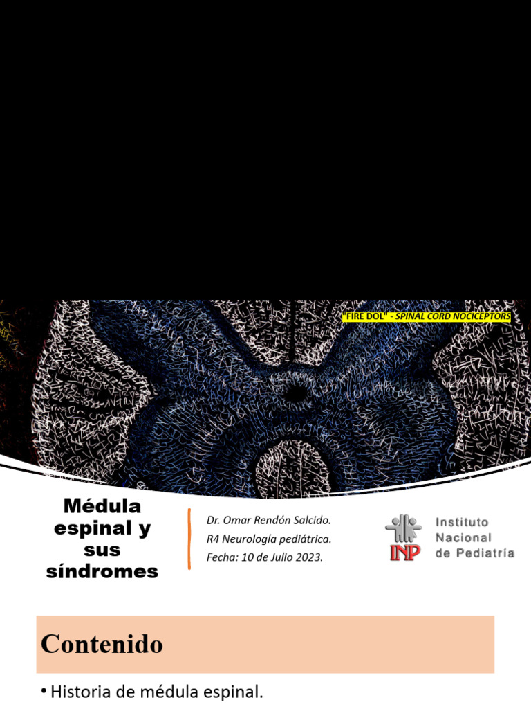 Síndromes de la Médula Espinal | PDF | Neuroanatomía | Anatomía
