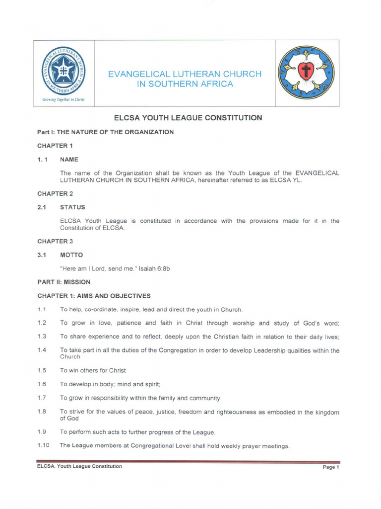 Youth Constitution | PDF