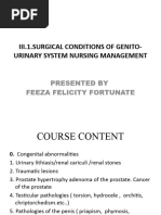 Urology Medical Terminology | PDF | Urinary System | Kidney