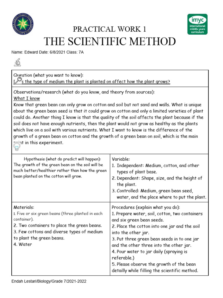 Practical Work 1 Scincetific Method | PDF | Root | Plants