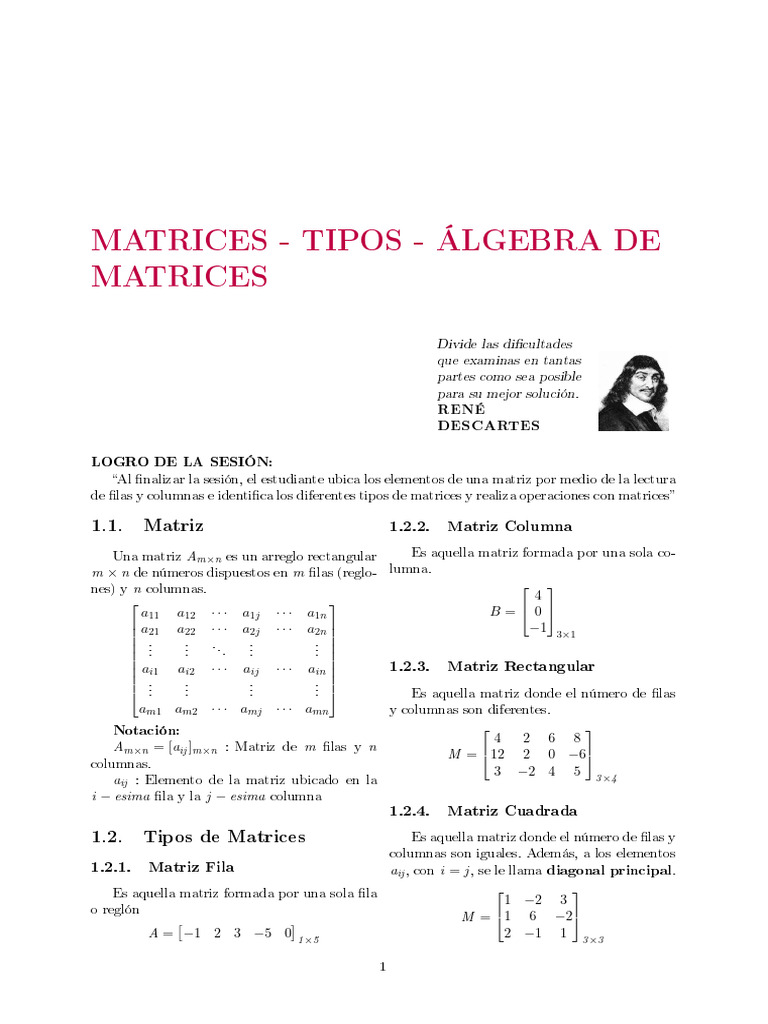 Tipos de Matrices y Operaciones | PDF | Matriz (Matemáticas) | Álgebra ...