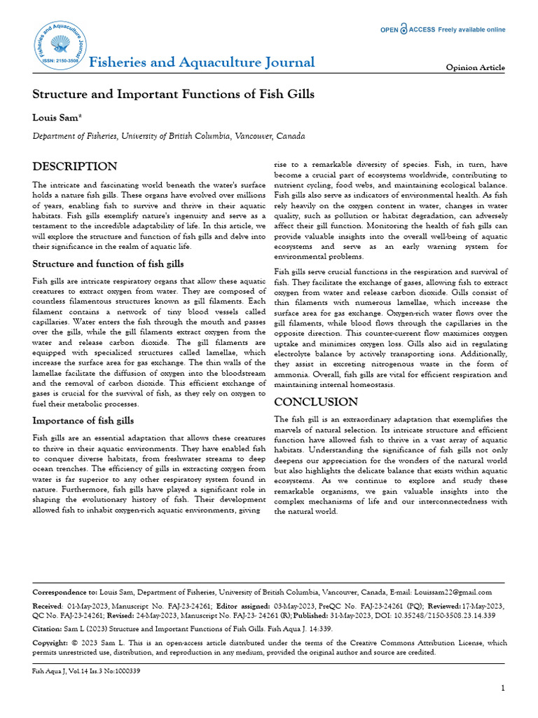 Structure and Important Functions of Fish Gills | PDF | Gill | Fish