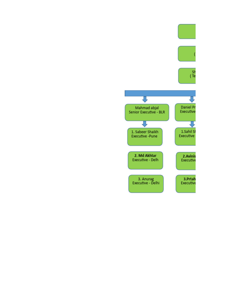 Intrnal Audit Team Hierarchy Pdf Audit Internal Audit