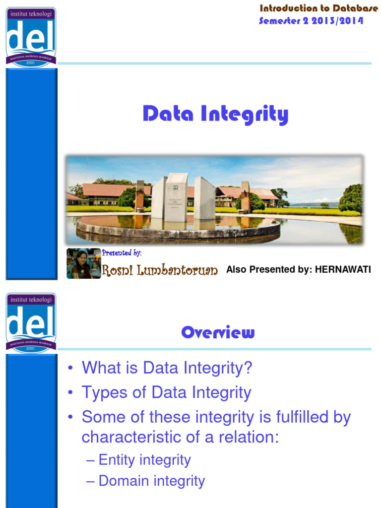 DataIntegrity_Constrain | PDF | Relational Database | Information Technology Management