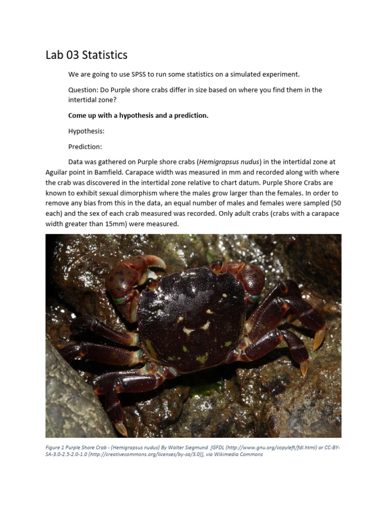 Lab 03 Statistics | Download Free PDF | Errors And Residuals | Coefficient Of Determination