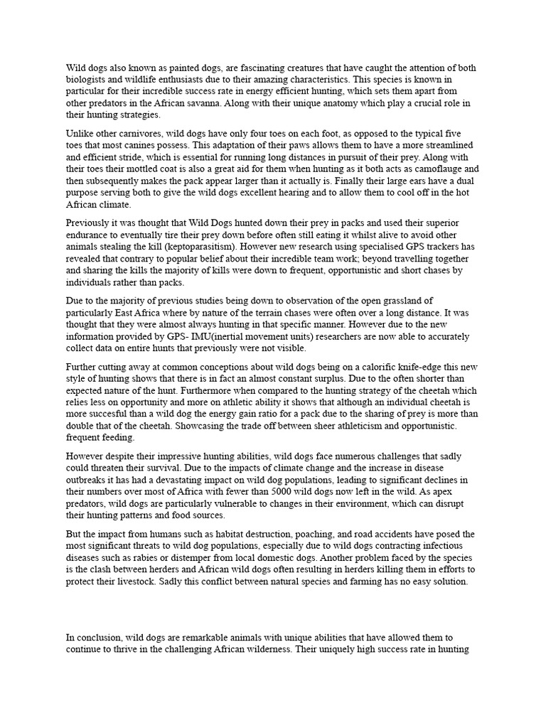 Wild Dogs Essay | PDF | Predation | Hunting