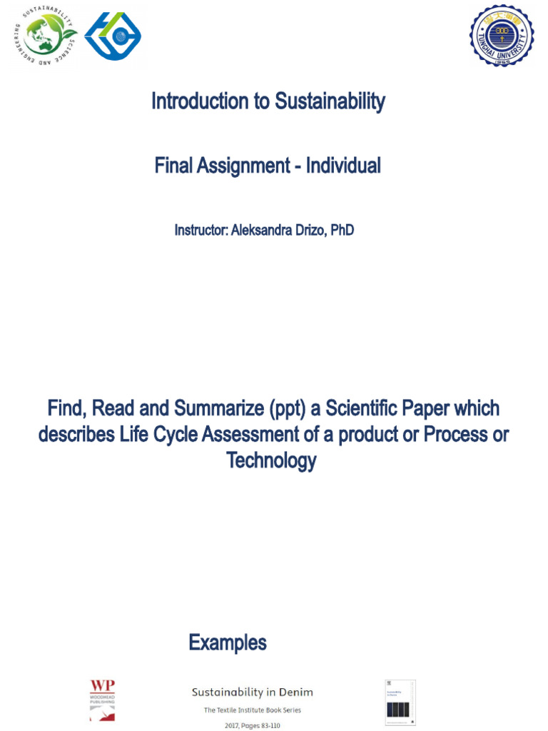 Final Assignment Sustainability Pdf Art