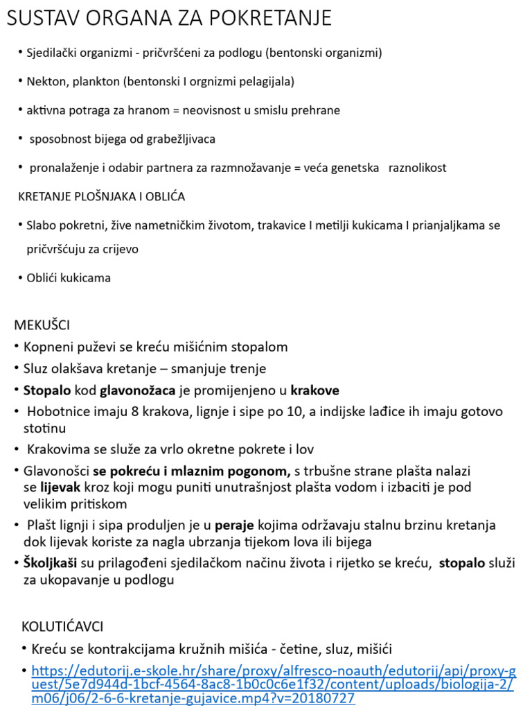 Sustav Organa Za Kretanje 2. R Gimnazije | PDF