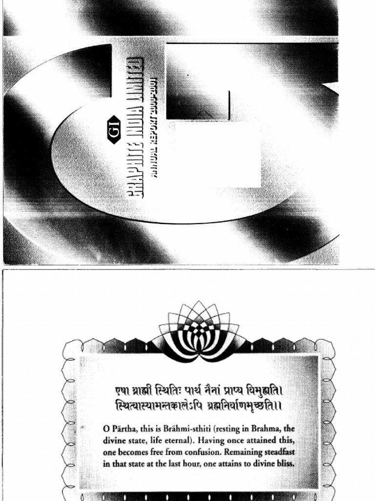 Graphite - India - LTD 509488 March 2001 | PDF | Loans | Mortgages