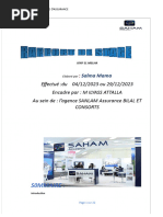 Presentation 1 | PDF | Risque opérationnel | Risque