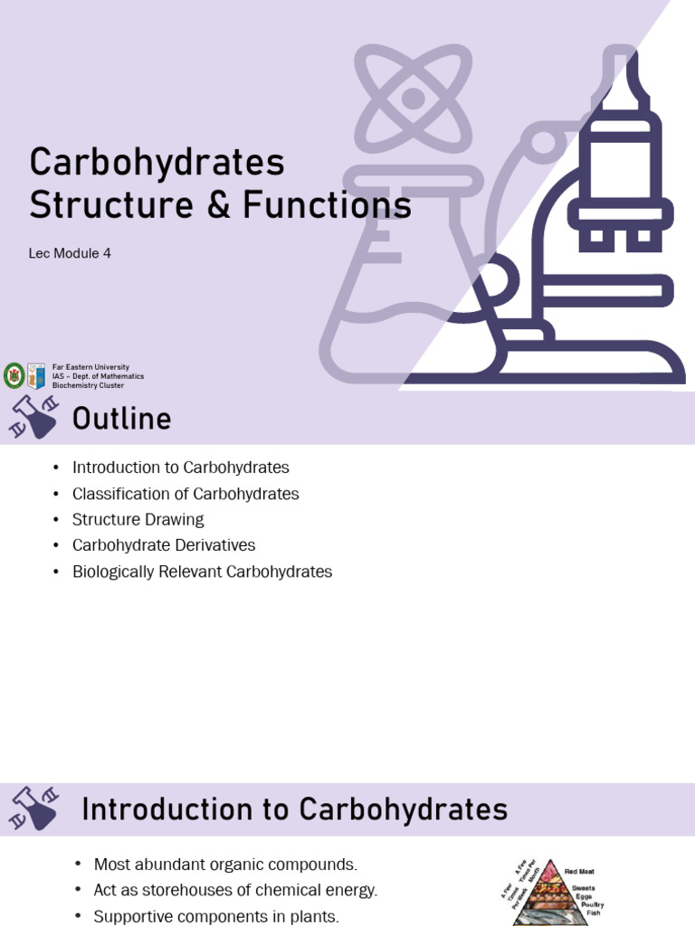04 Carbohydrates Structure and Functions | PDF | Carbohydrates ...