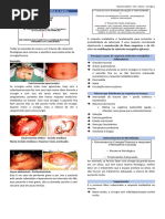 L08 - Escala de Tanner Feminina | PDF | Puberdade | Infância