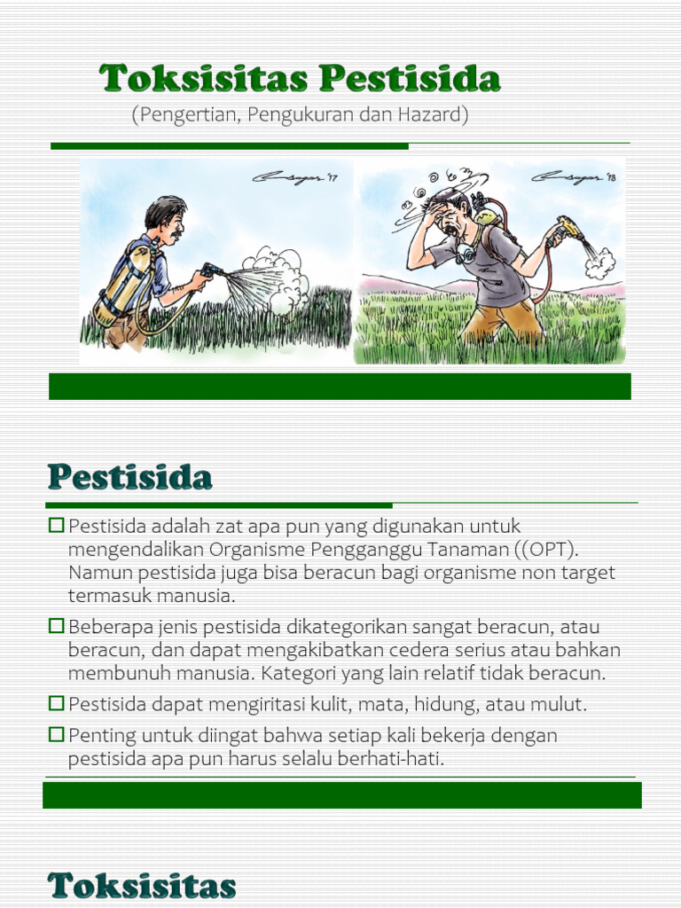 PTA 6. Toksisitas Pestisida | PDF | Kesehatan Holistik