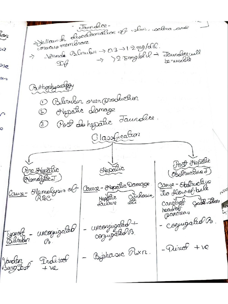 Jaundice Patho | PDF