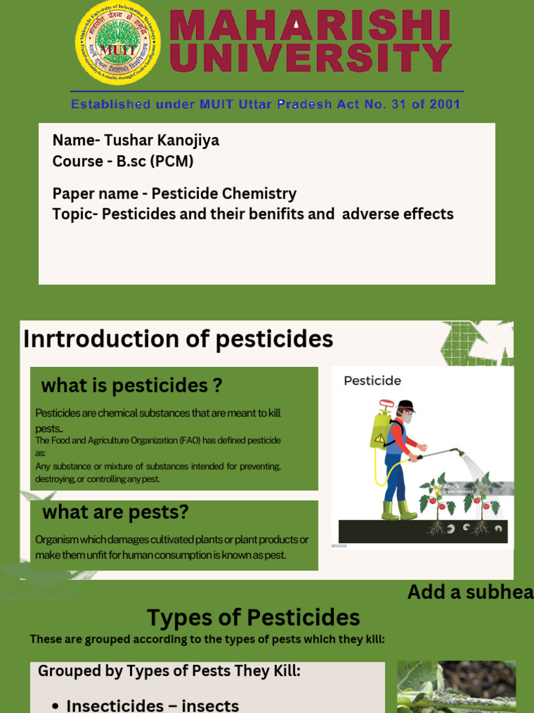 Green Illustrated Sustainable World Presentation - 20240215 - 080950 ...