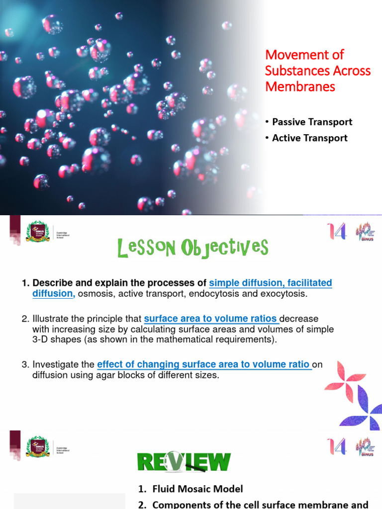 Ppt Gr10sci Cell Membrane Transport Diffusion Download Free Pdf