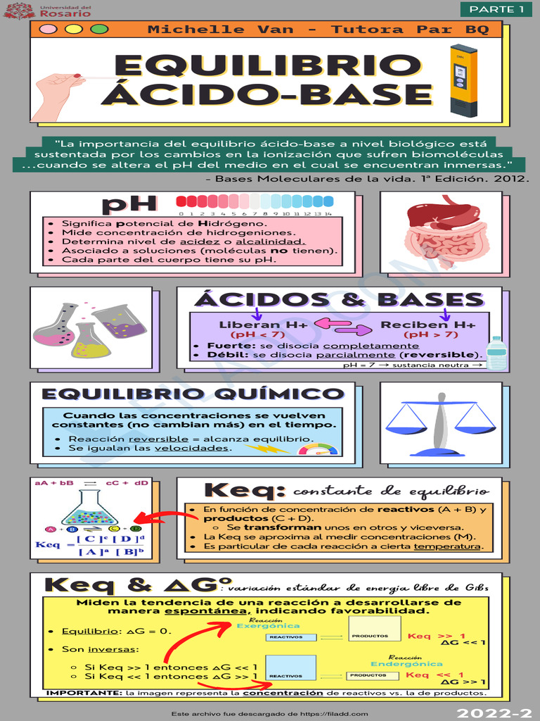 Equilibrio Acido-Base Infografia - Michelle Van 1 | Descargar gratis PDF | Solución tampón | Ph