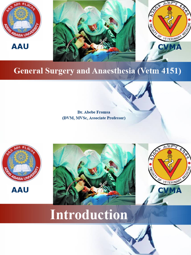Teat Bistoury in Veterinary Surgery | PDF | Surgical Suture | Surgery