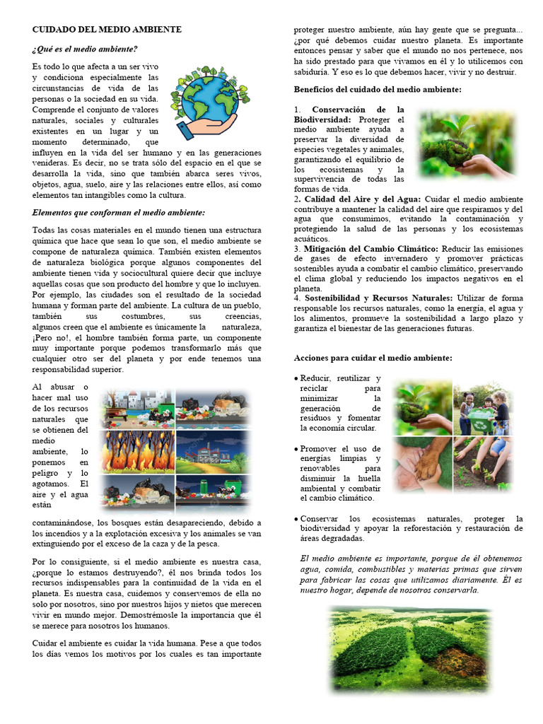 FICHA INFORMATIVA CUIDADO DEL MEDIO AMBIENTE | Descargar gratis PDF ...