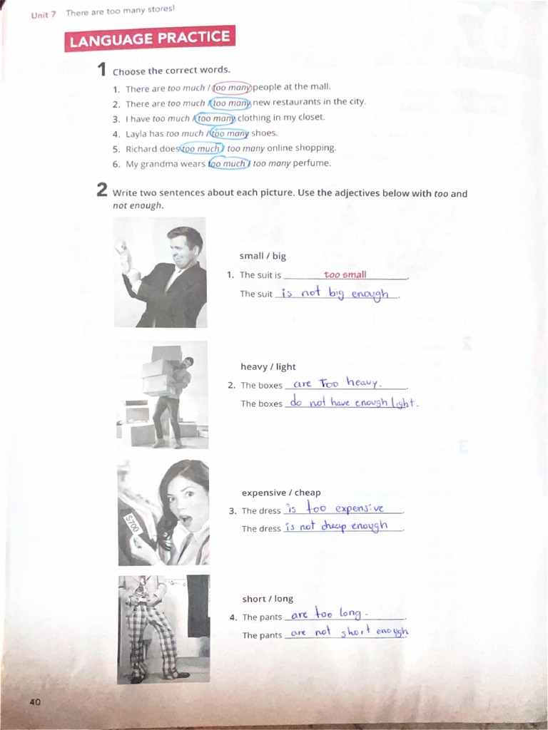 Unidad 7,8,9,10,11 | PDF