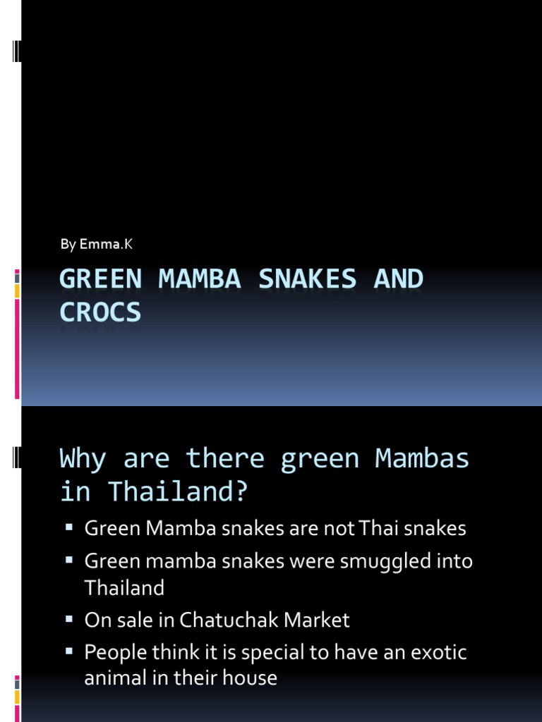 Green Mamba Snakes and Crocs | PDF
