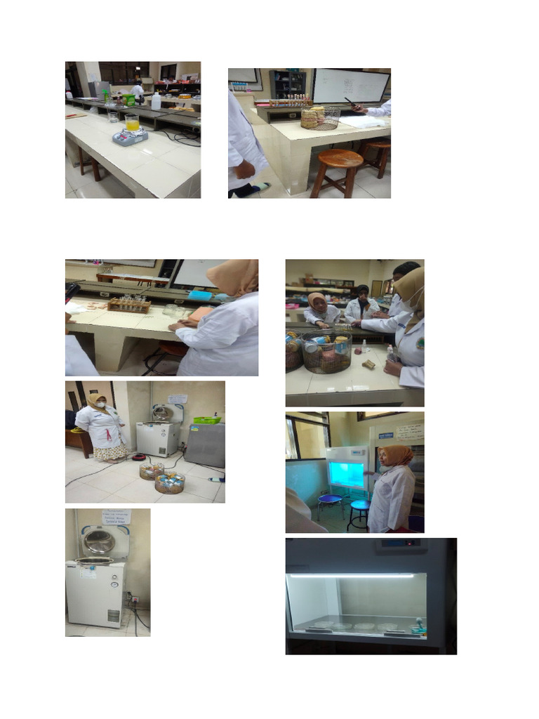 Foto Lap Mikro Minggu 1 | PDF