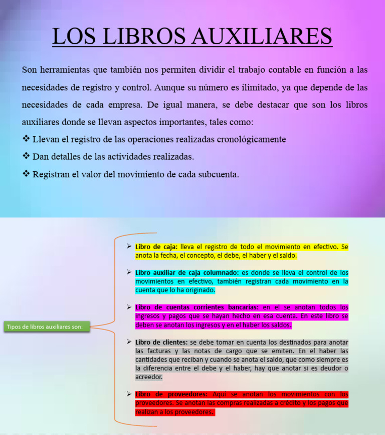 Los Libros Auxiliares | PDF