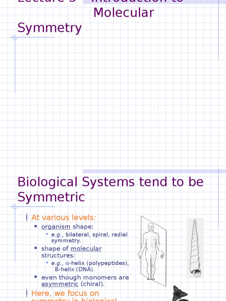 Lecture 3' - Introduction To Molecular Symmetry | PDF | Biomolecular ...