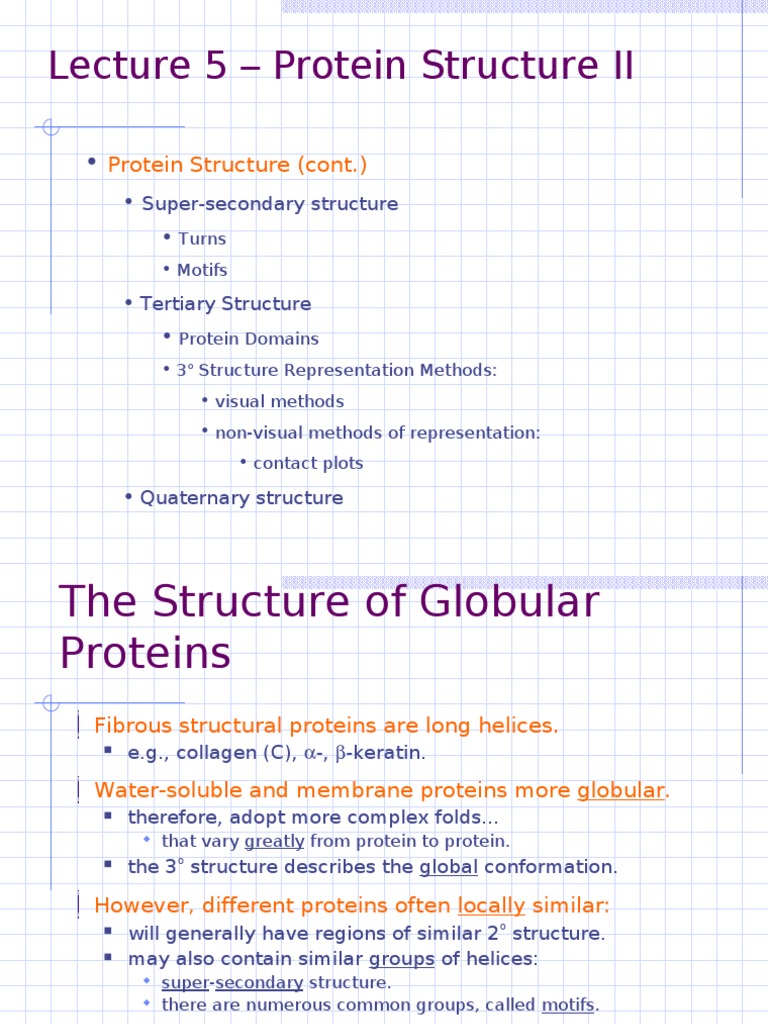 Lecture 5' - Introduction To Protein Struct II Spr08 | PDF | Beta Sheet ...