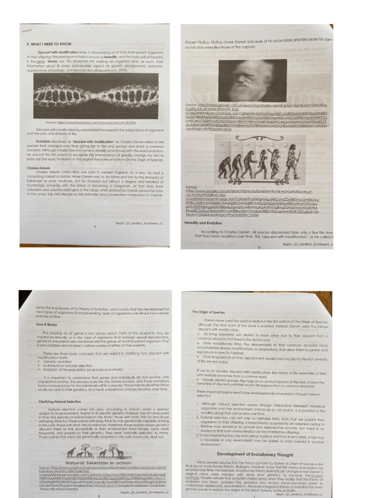 Evolution by Charles Darwin | PDF