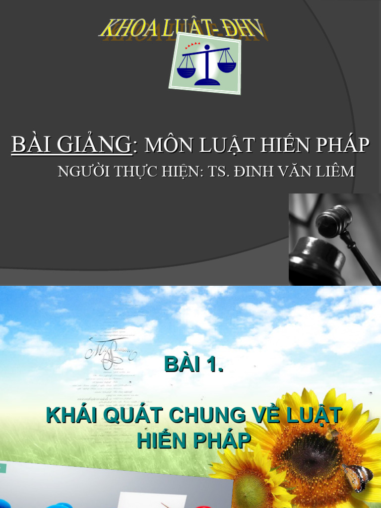 Chuong 1 Nhung Van de Co Ban Ve LHP | PDF