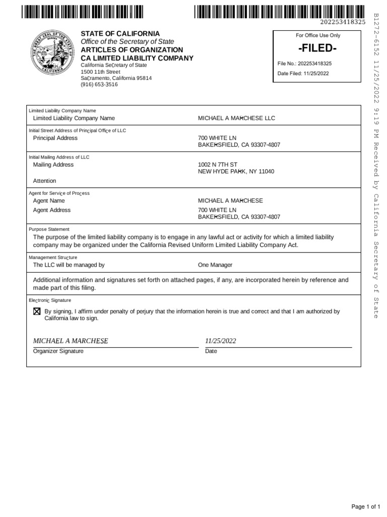 Form | Download Free PDF | Limited Liability Company | Business Law