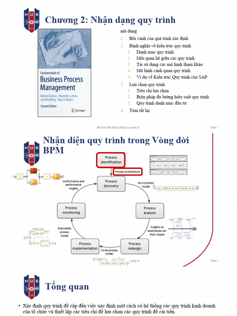 HUB BPM 02 Process Identification | PDF