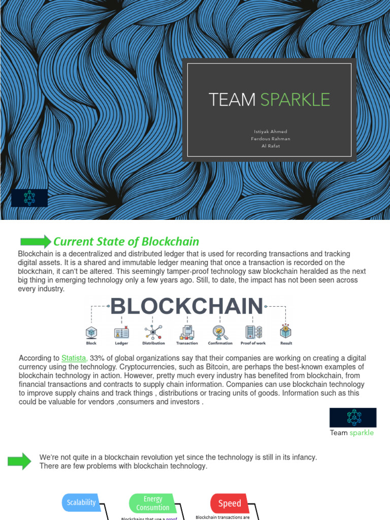 Team Sparkle | Download Free PDF | Information Technology Management ...